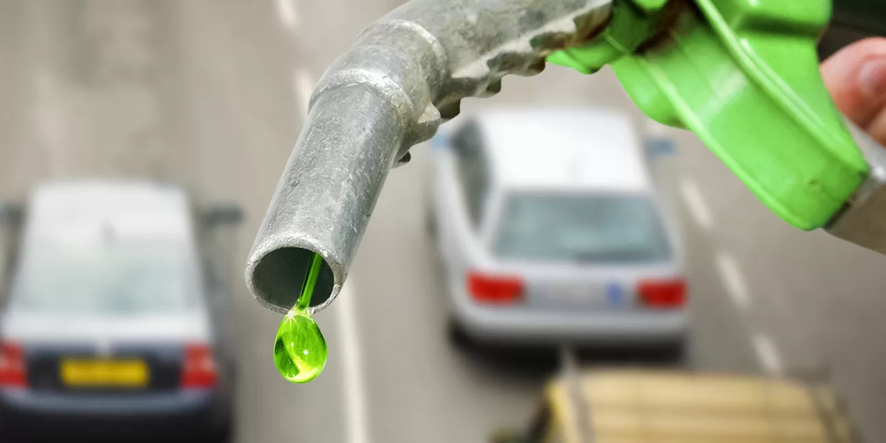 Energetika - Europa carinama protjerala kineska biogoriva