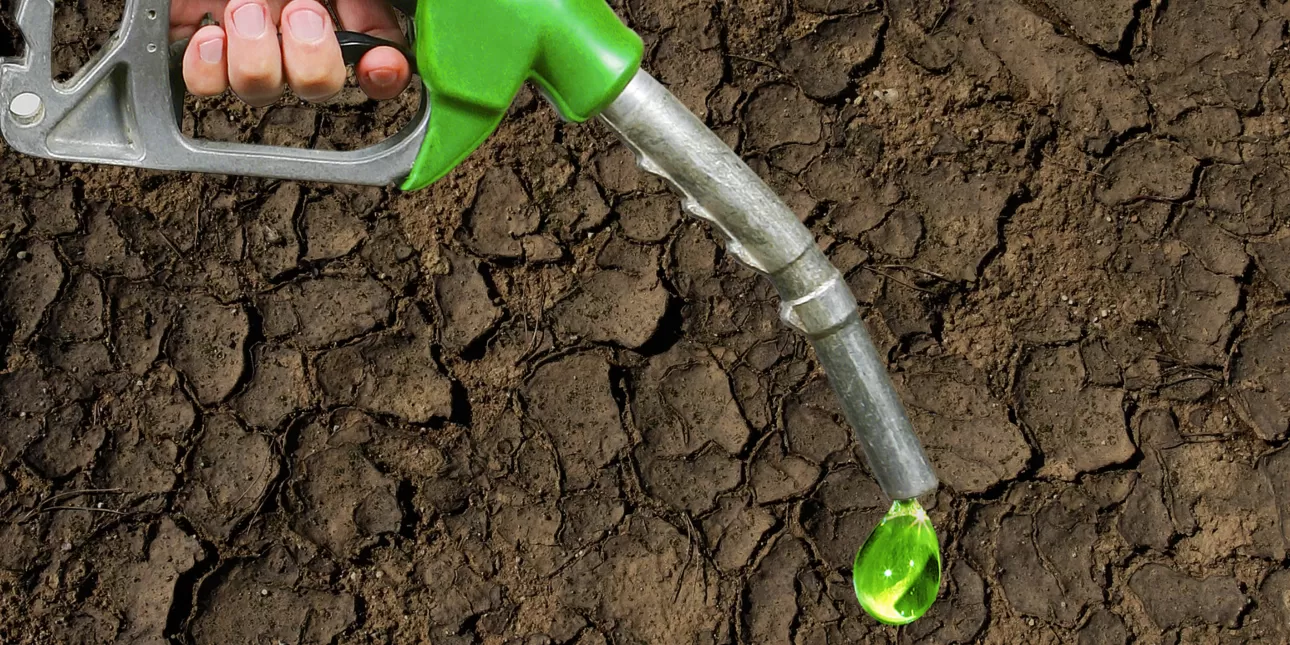 Energetika - U Netretiću s radom kreće biorafinerija